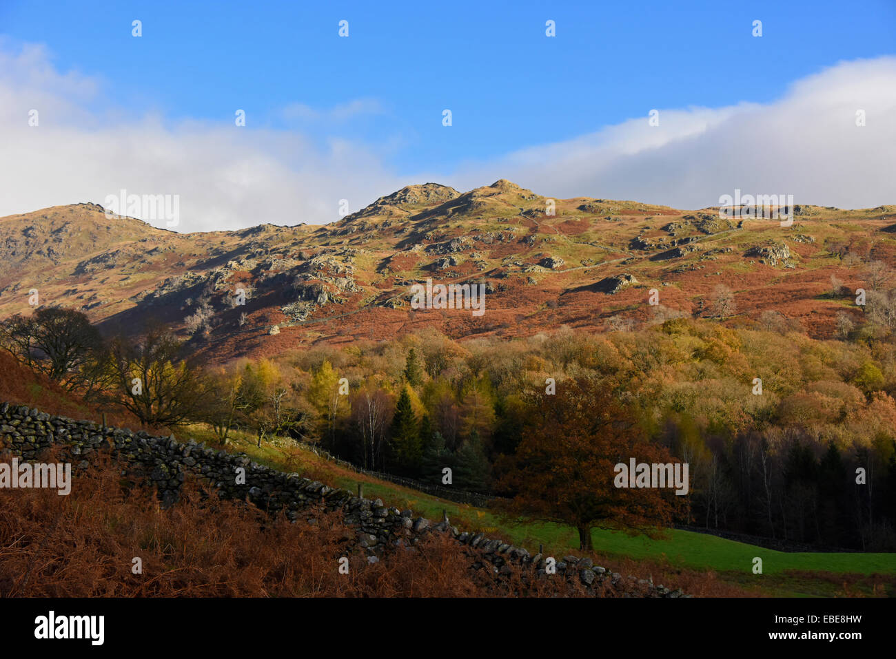 High Pike and Low Pike, Rydal, from Nab Scar. Lake District National ...