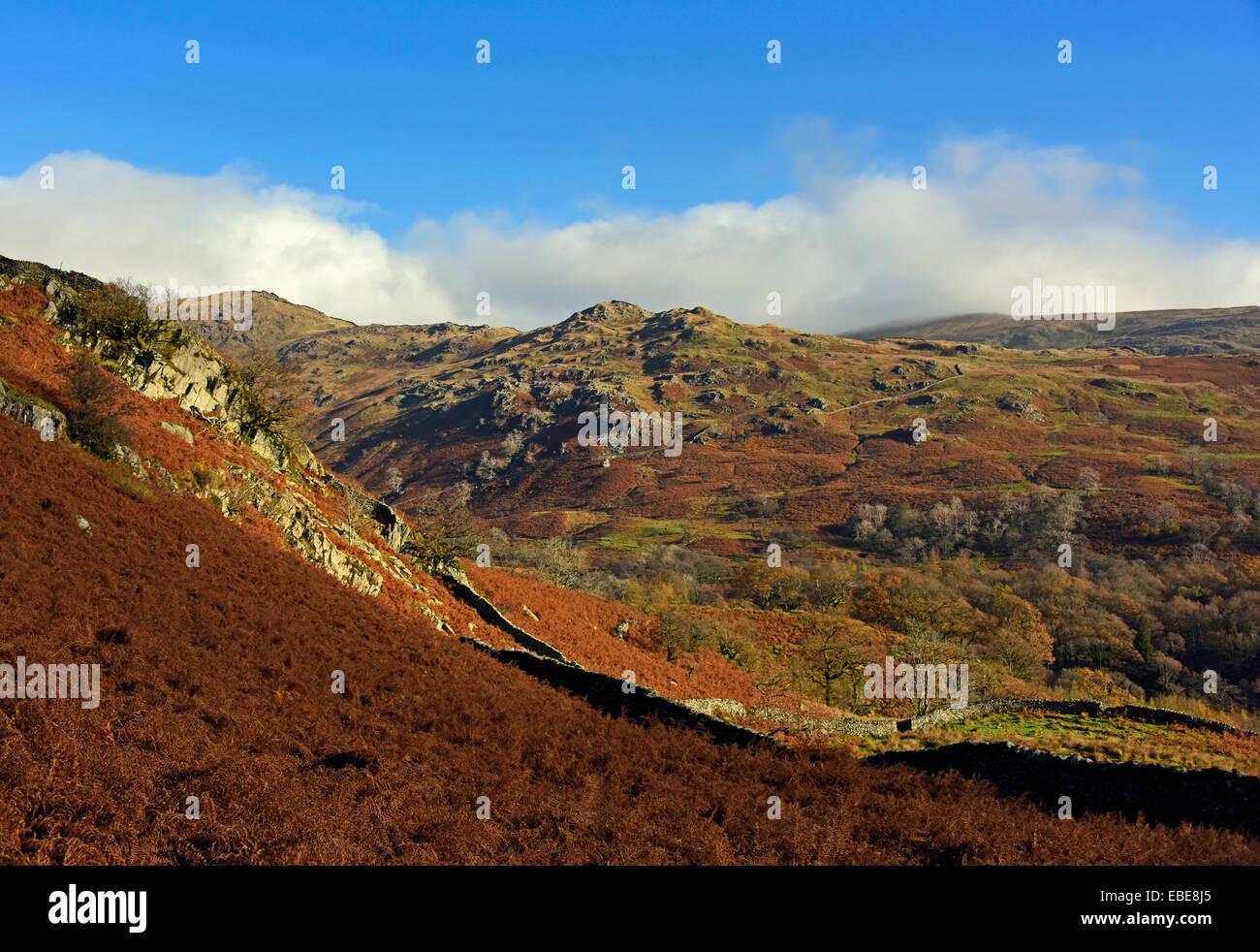 High Pike and Low Pike, Rydal, from Nab Scar. Lake District National ...