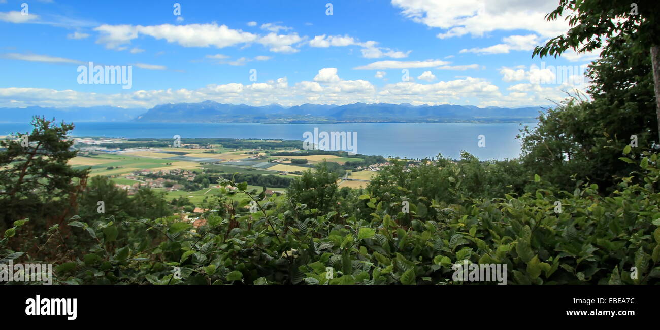 View of Alps mountain and Geneva lake from "La Côte" by beautiful ...