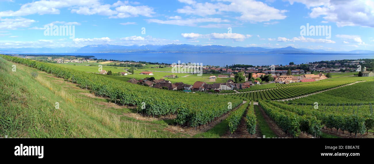 View of Alps mountain and Geneva lake from "La Côte" by beautiful ...