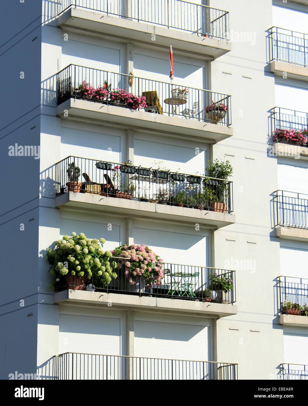 Close up on modern building balconies with colorful flowers and windows ...
