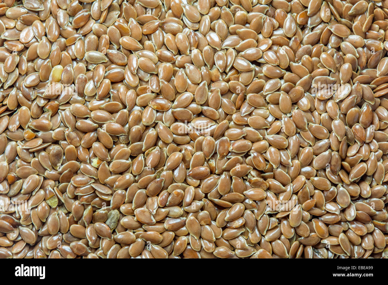Flax seed linseed food grain hi-res stock photography and images - Alamy