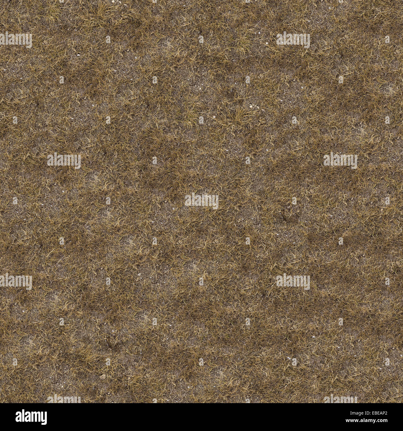 Seamless Tileable Texture of Weathered Dry Grass Stock Photo - Alamy