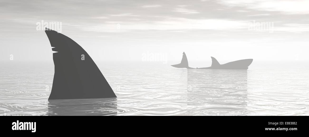 Shark fin next to another in deep grey ocean Stock Photo - Alamy