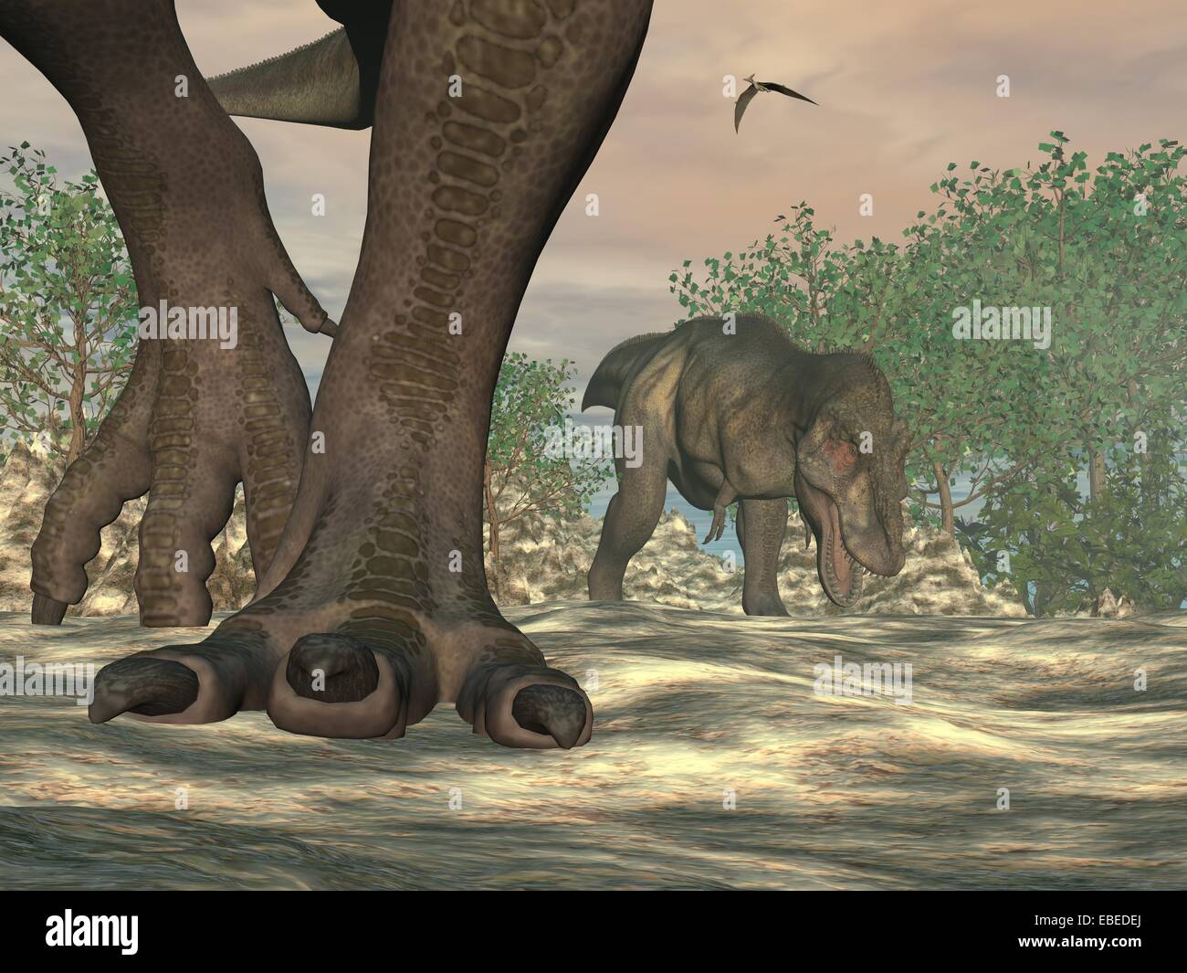 Close up on tyrannosaurus rex dinosaur feet in nature Stock Photo - Alamy