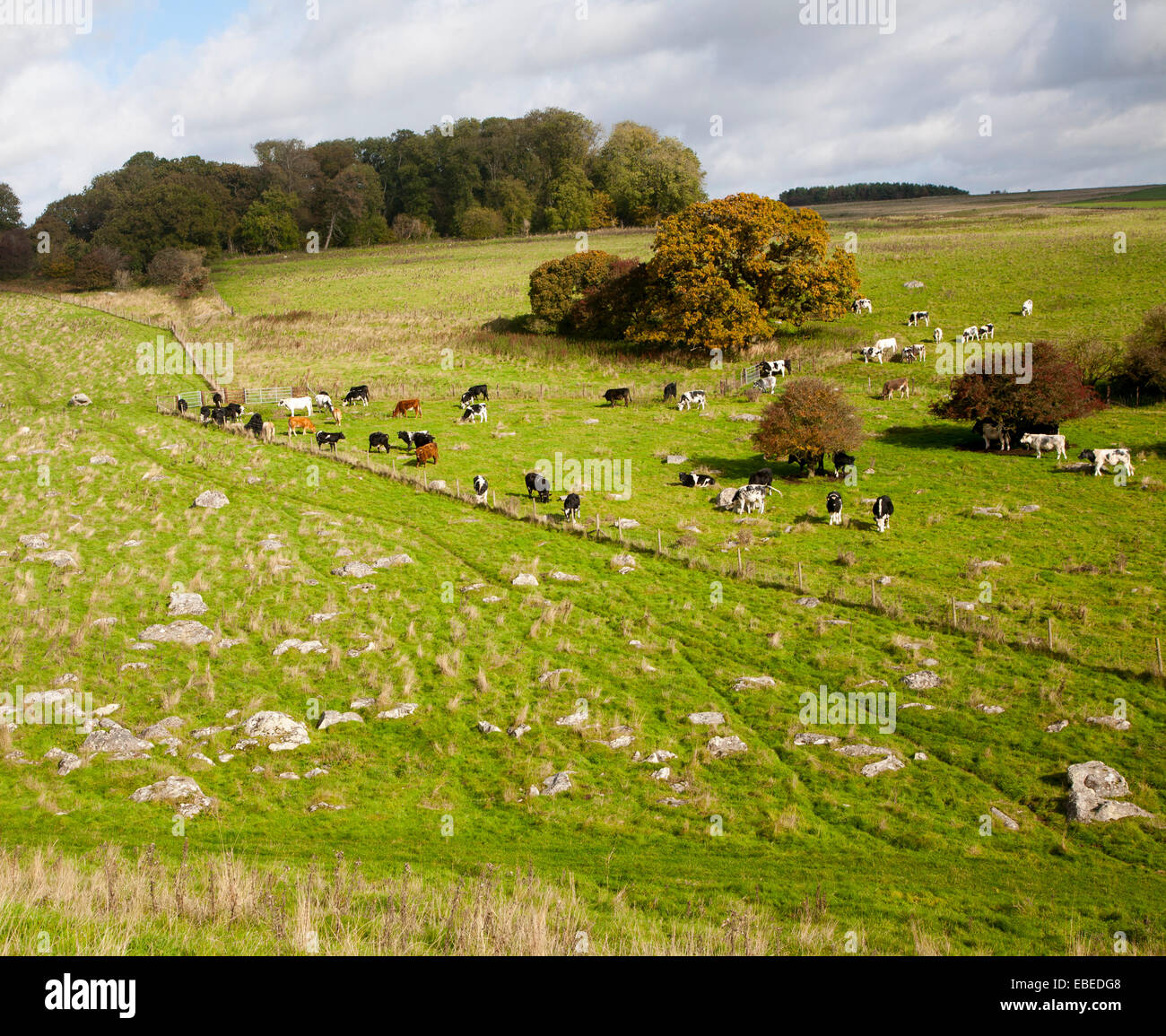 Fyfield down national nature reserve hi-res stock photography and ...