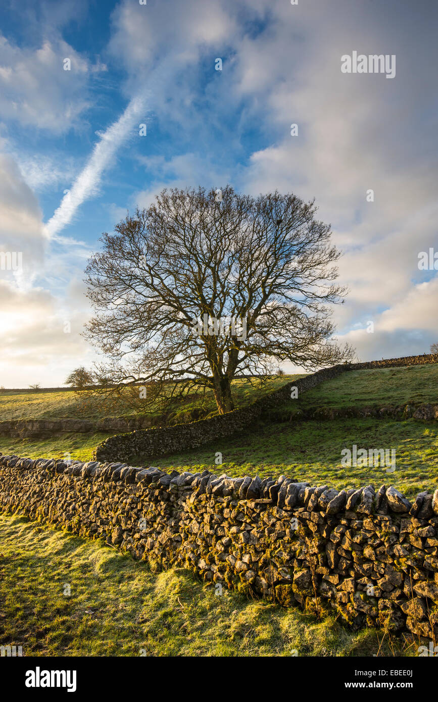 A winter morning at Lathkill Dale in the Peak District national park ...