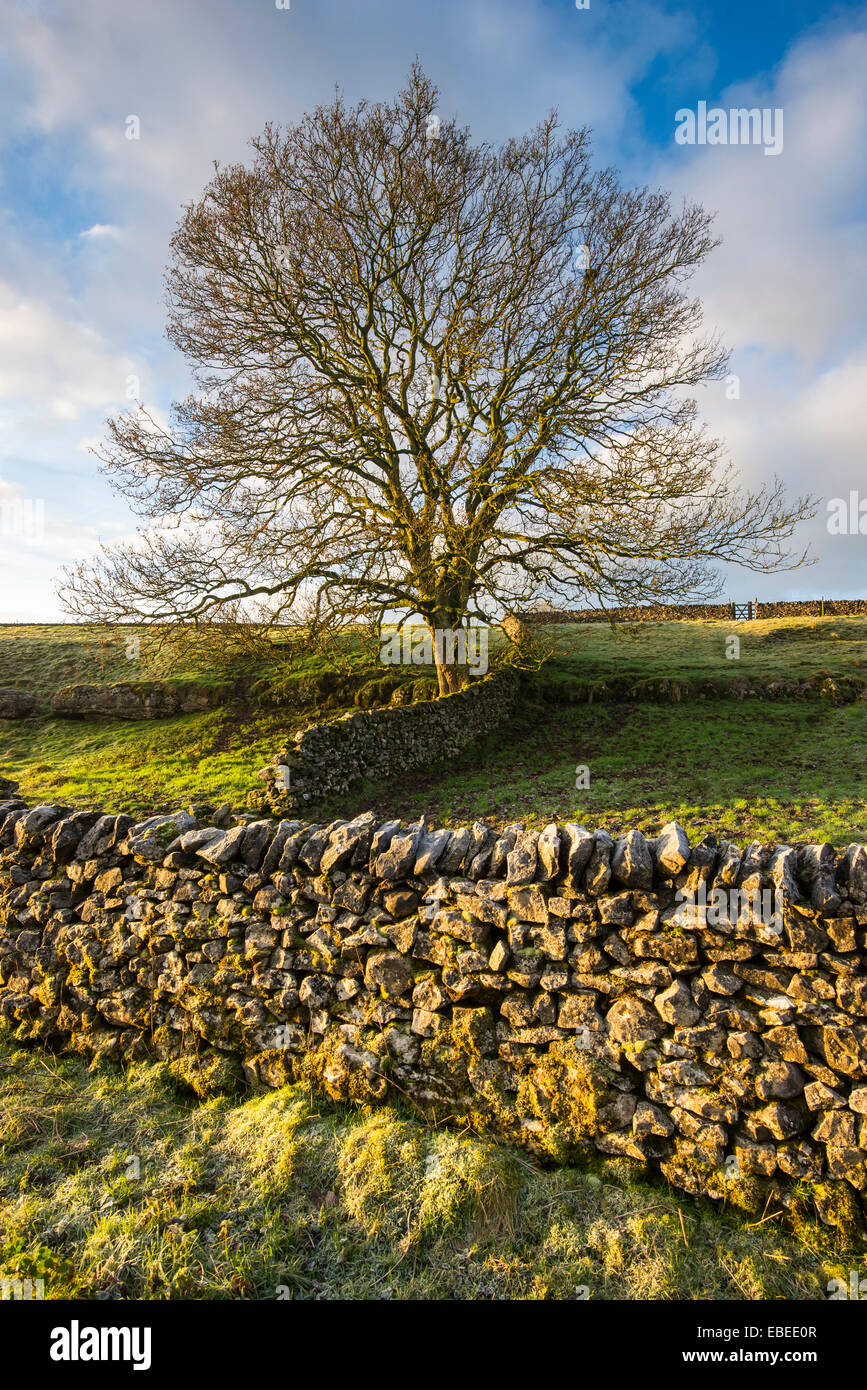 A winter morning at Lathkill Dale in the Peak District national park ...