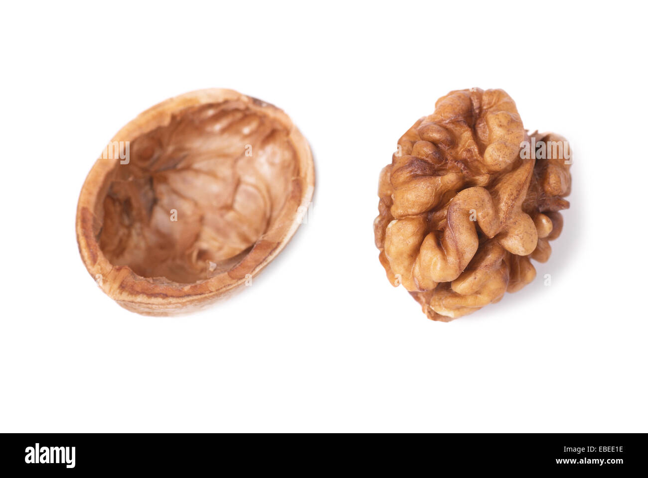 Walnut and shell isolated on white background Stock Photo - Alamy