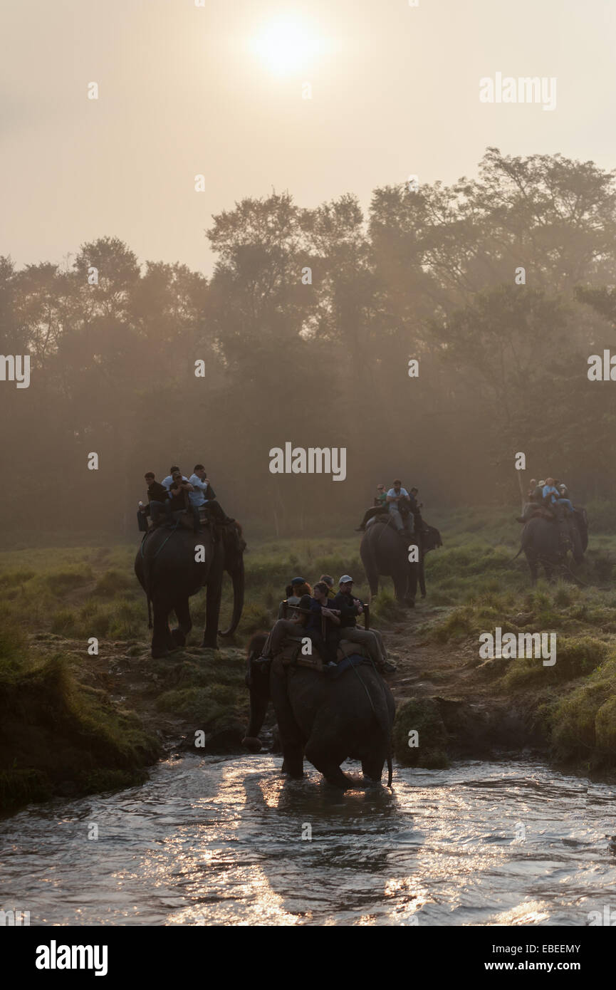 Elephants crossing the river in Elephant safari tour at Chitwan ...