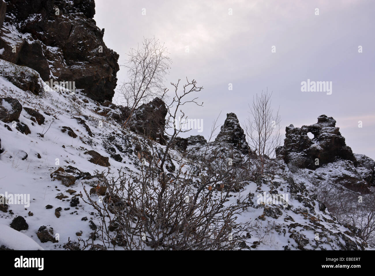 The unusual rock formations at Dimmuborgir, near Mývatn in Iceland ...