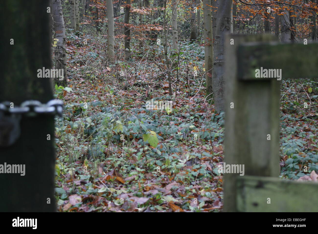 Obscured view hi-res stock photography and images - Alamy