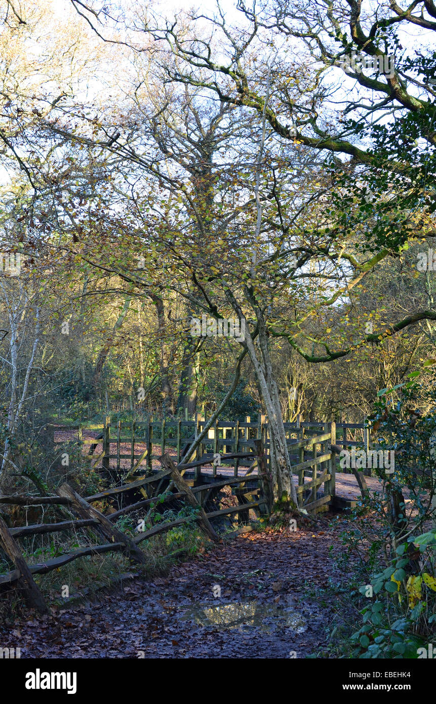The bridge where Christoper Robin played Pooh sticks in One Hundred ...