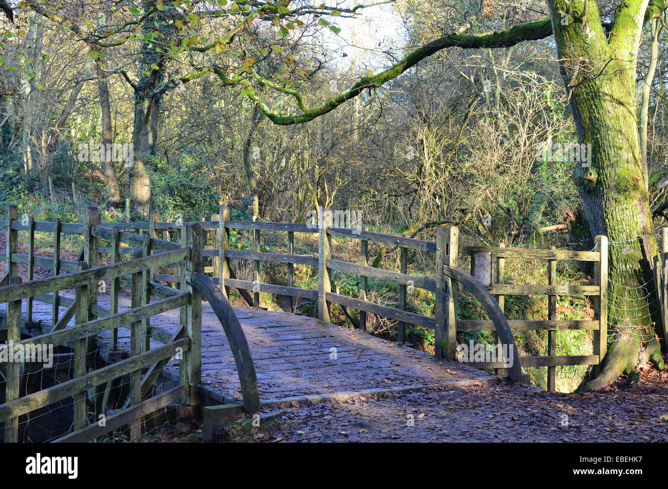 Woodland bridge in One Hundred Acre wood, home of Winnie the Pooh and ...