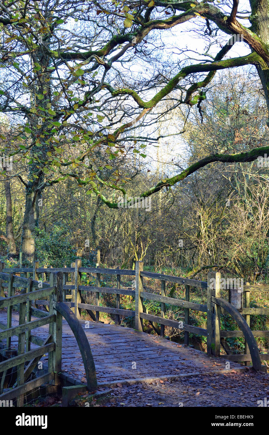 Hundred acre wood uk hi-res stock photography and images - Alamy