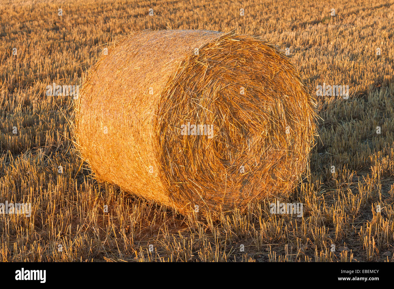 Bale y hi-res stock photography and images - Alamy