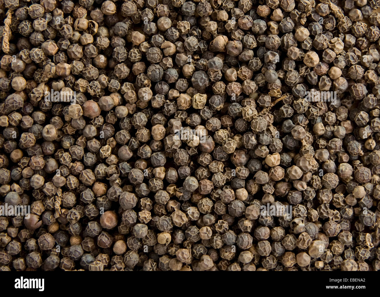 black pepper as whole background Stock Photo - Alamy
