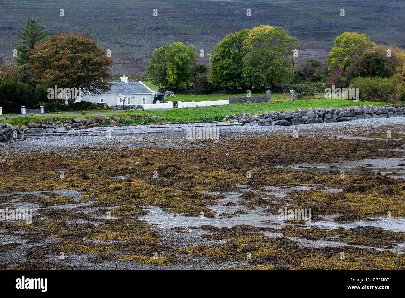 Ballyvaughan hi-res stock photography and images - Alamy