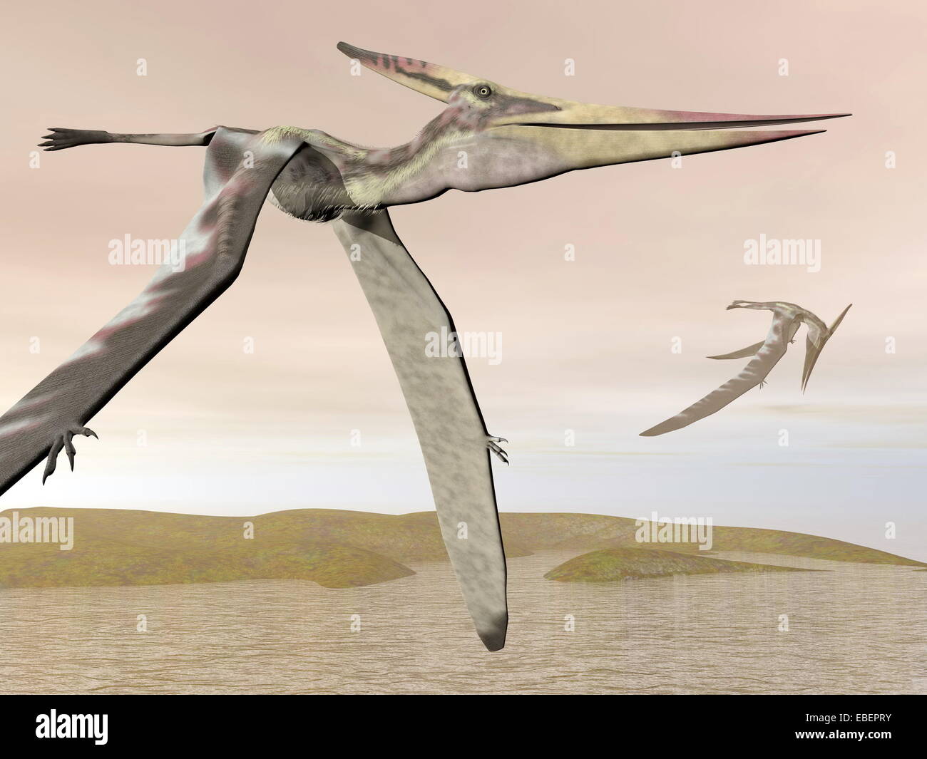 Two pteranodon flying upon water and small islands - 3D render Stock ...