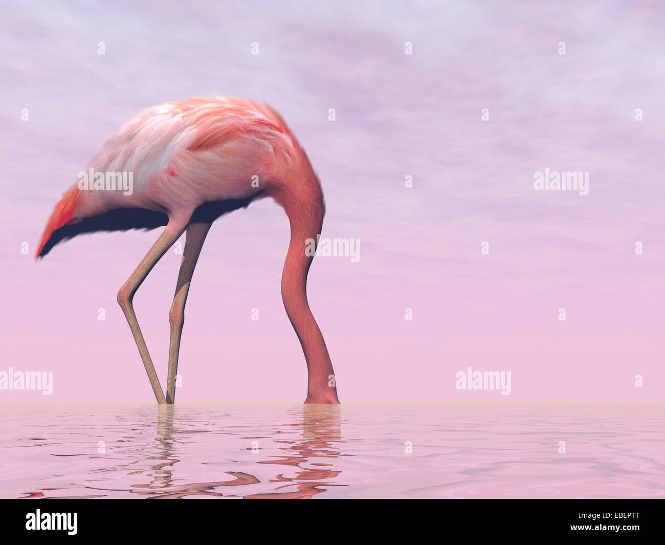 One flamingo hiding its head in water - 3D render Stock Photo - Alamy
