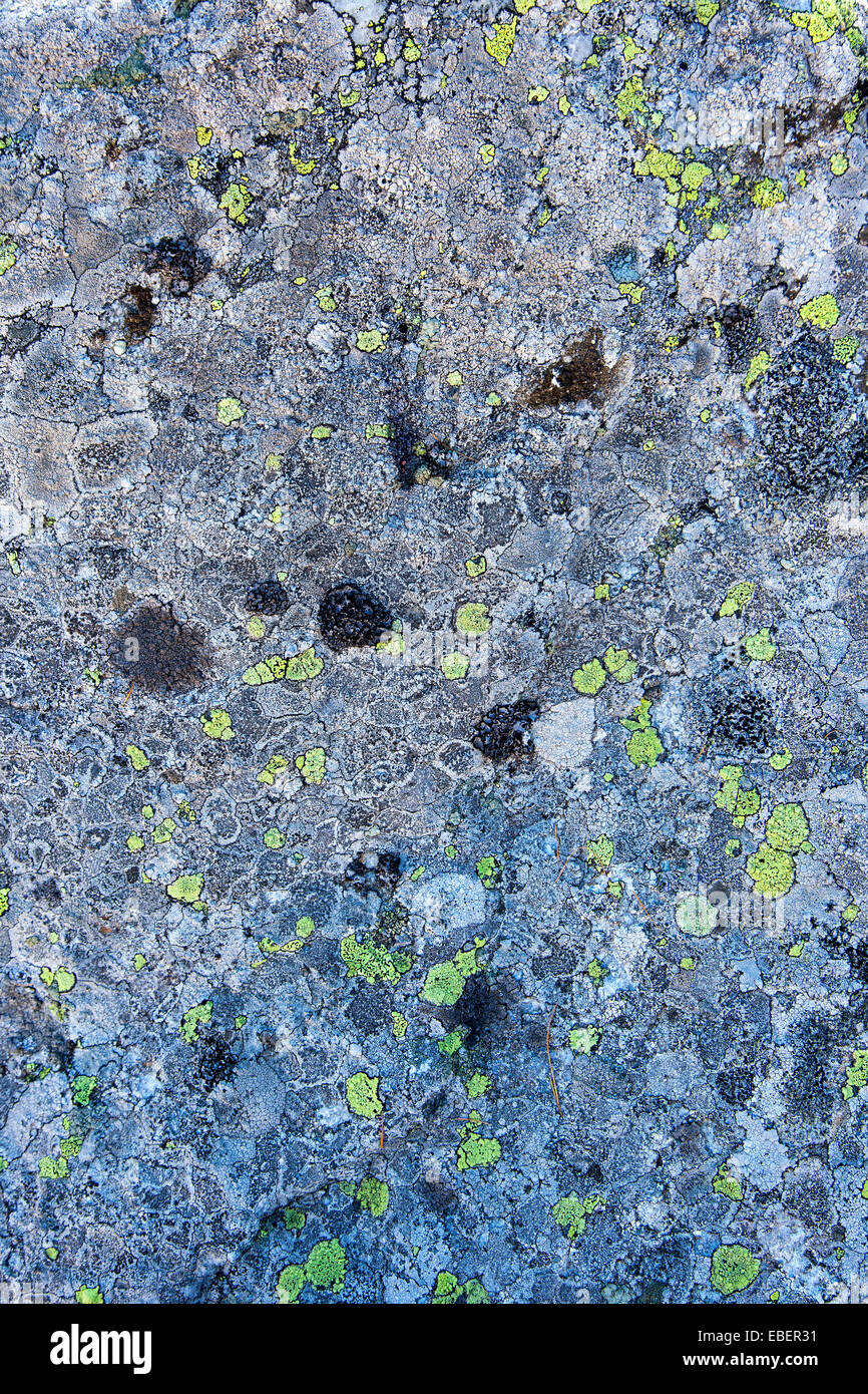 Close Up of a Stone Stock Photo - Alamy