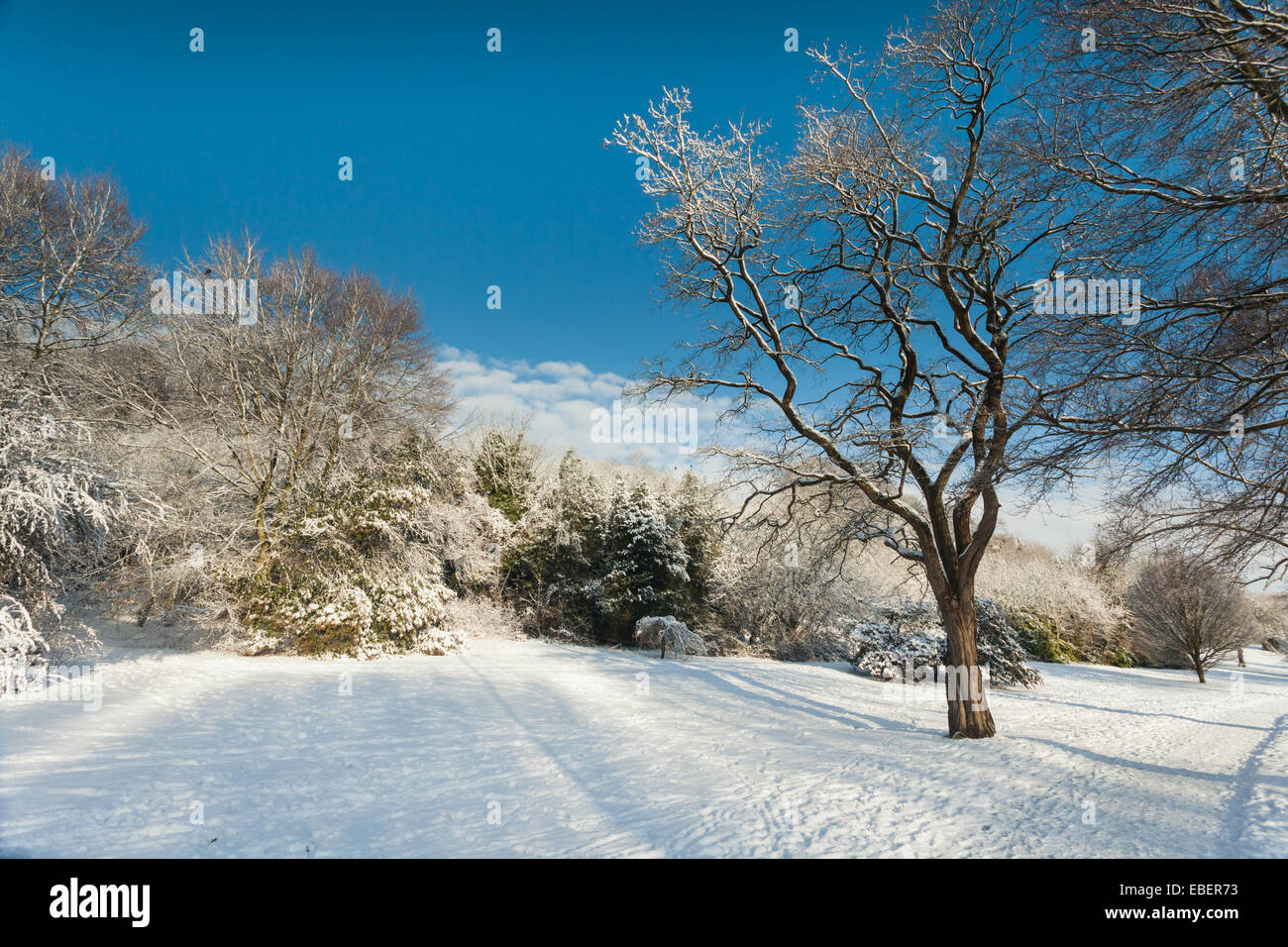 Snowy brighton scene hi-res stock photography and images - Alamy