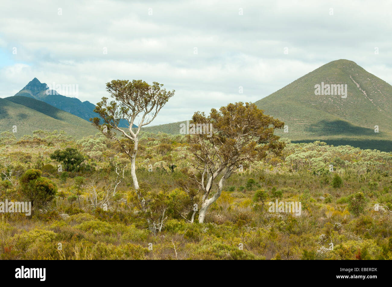 Stirling Range Western Australia High Resolution Stock Photography and ...