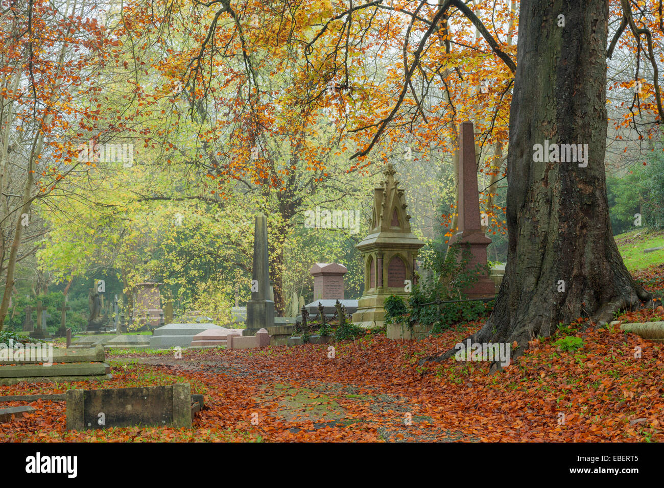 Moody autumn afternoon at Brighton Borough cemetery Stock Photo - Alamy