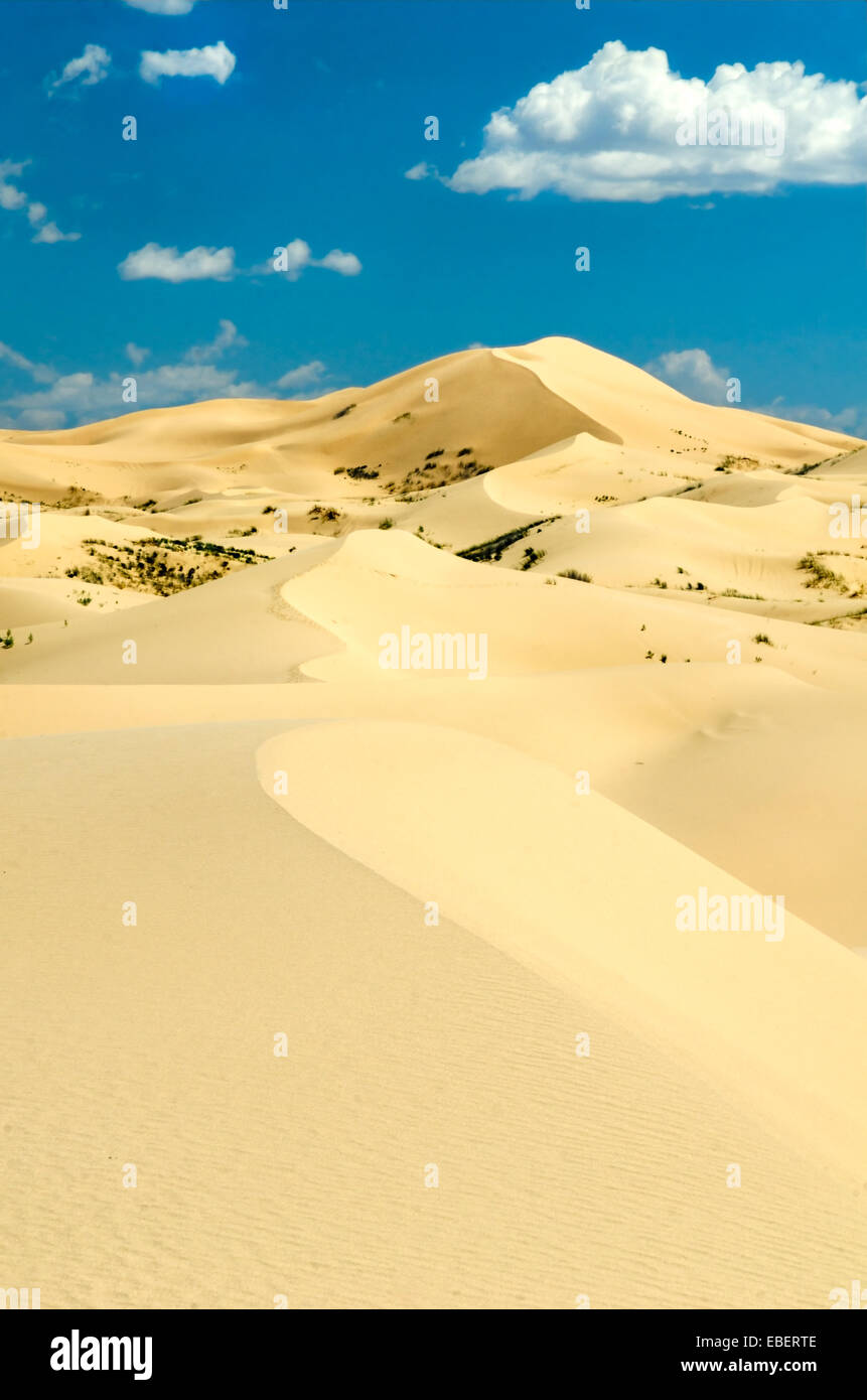 Dune field hi-res stock photography and images - Alamy