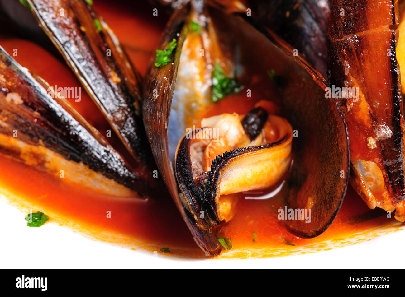 Parsley shellfish hi-res stock photography and images - Alamy