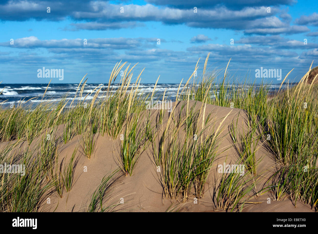 Brackley beach prince edward island hi-res stock photography and images ...