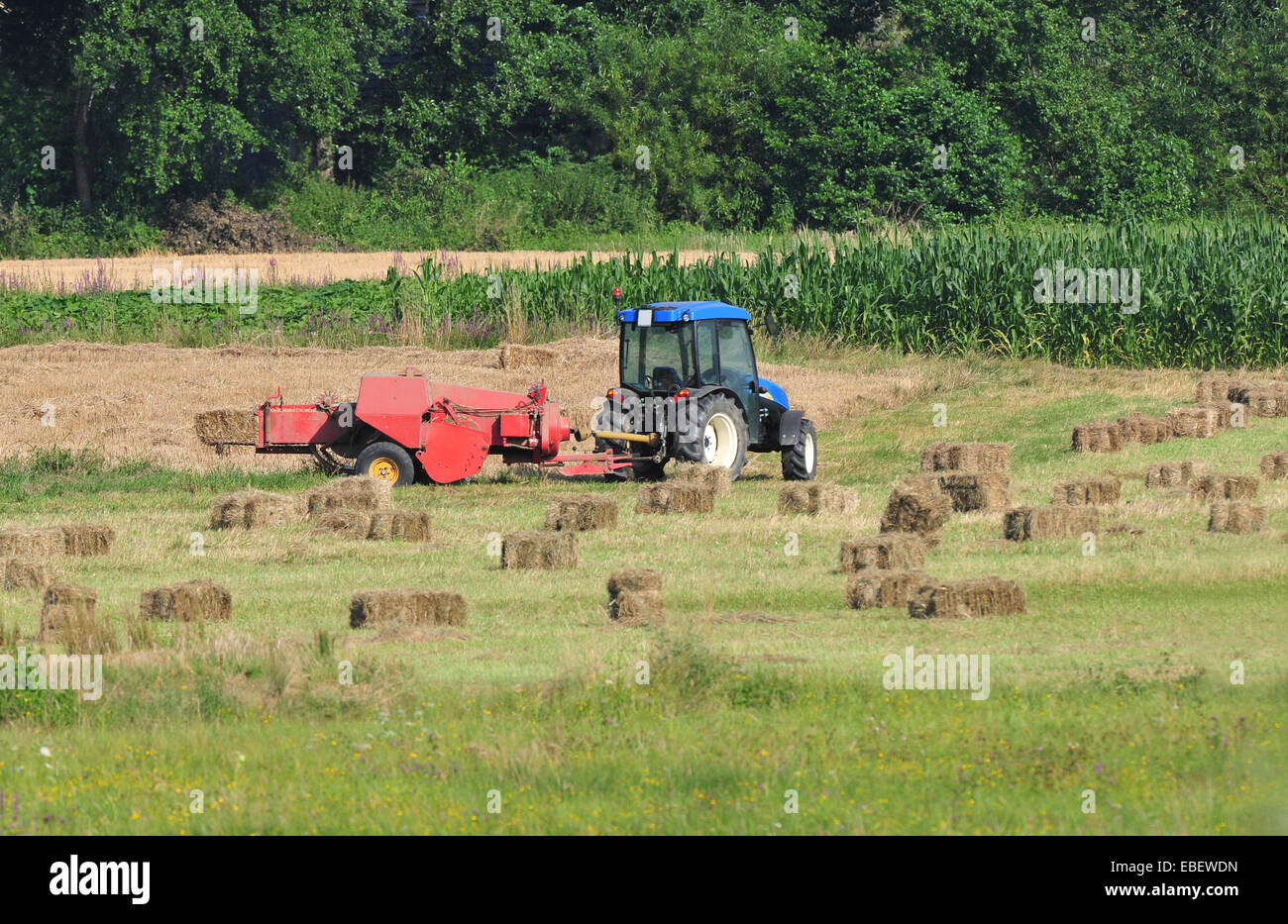 Tractor making hay bales Stock Photo - Alamy