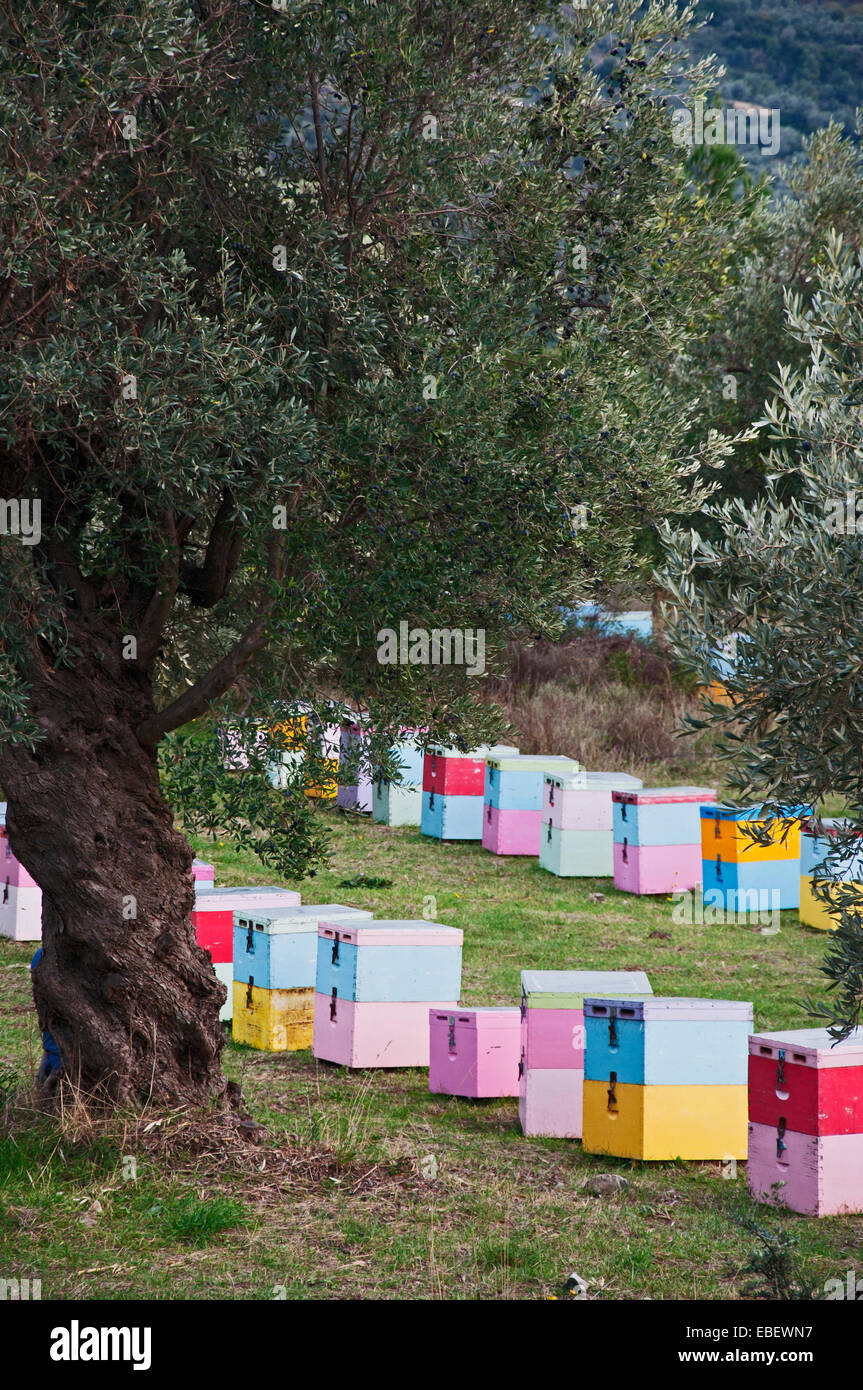 Beehives in natural landscape hi-res stock photography and images - Alamy