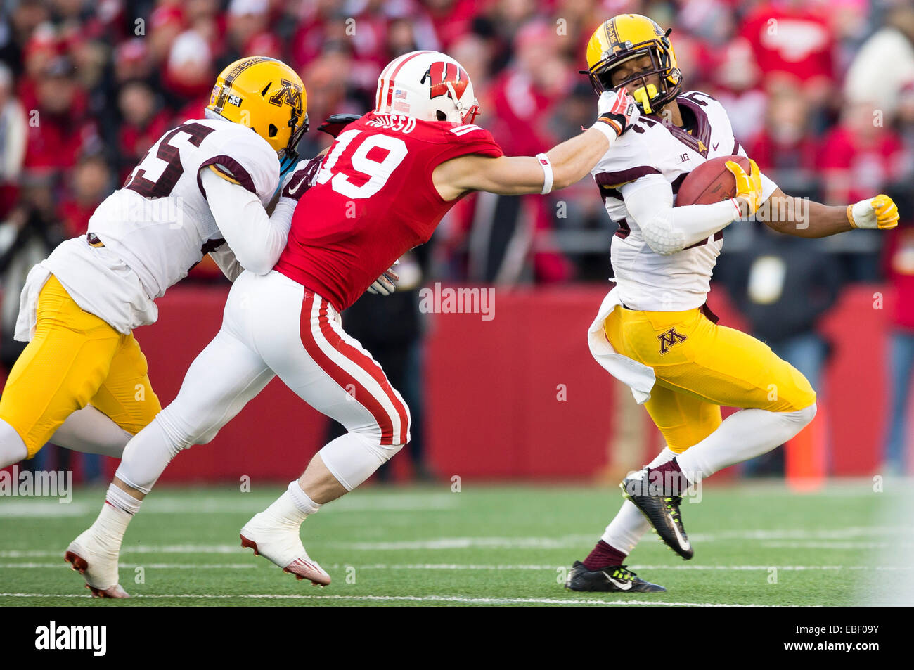 November 29, 2014: Wisconsin Badgers safety Leo Musso #19 grabs the ...