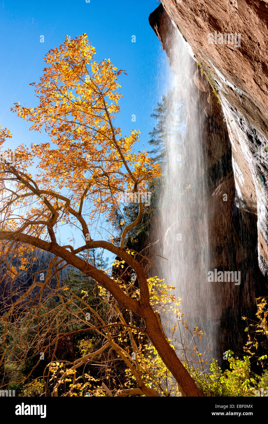 Emerald Pools Train waterfall Zion National Park, Utah, USA Stock Photo ...