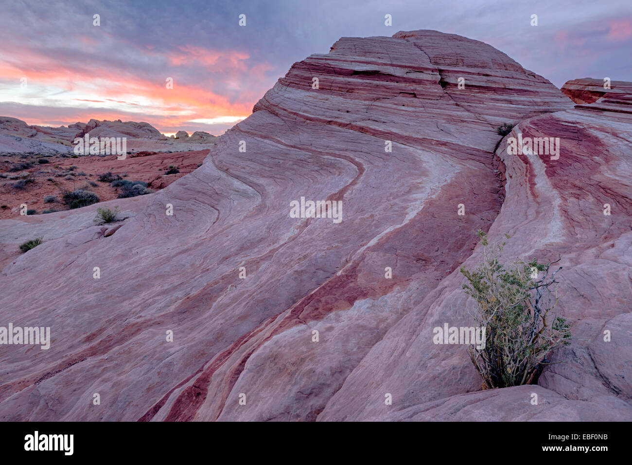 The Fire Wave at Valley of Fire State Park, Nevada, USA Stock Photo - Alamy