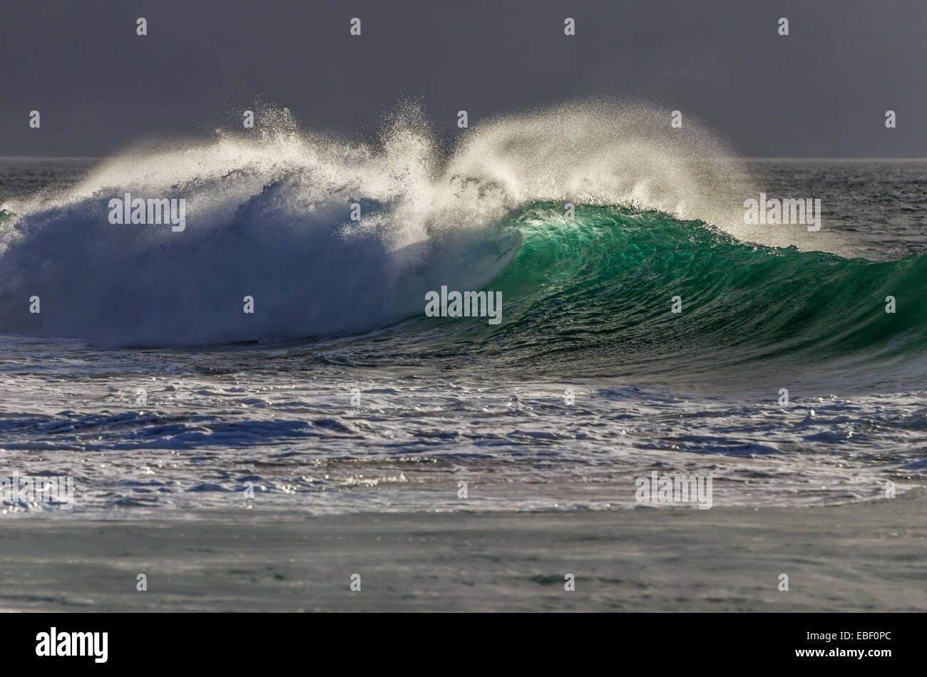 Breaking ocean wave North shore Oahu Hawaii USA Stock Photo - Alamy