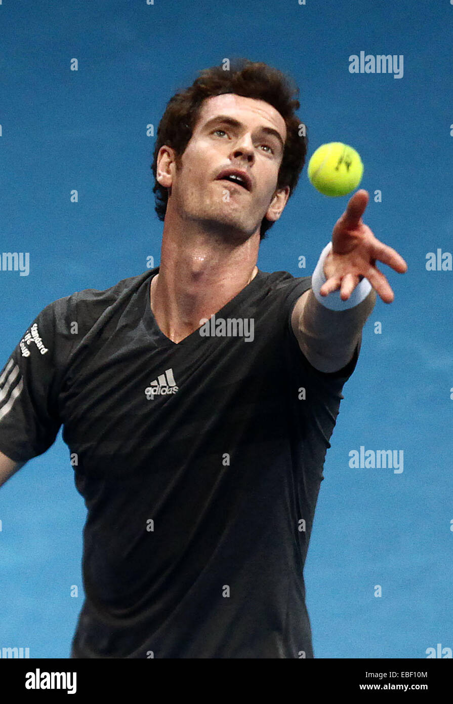 Andy murray team hi-res stock photography and images - Alamy