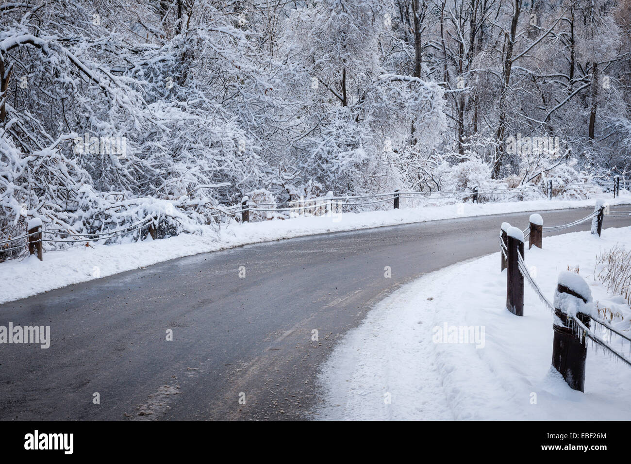 Extreme winter season snowfall ontario canada hi-res stock photography ...