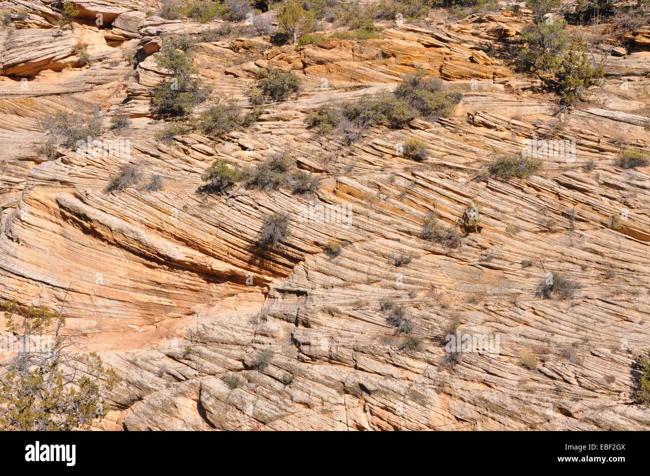 Striations on the rock face of a cliff in Zion National Park, Utah ...