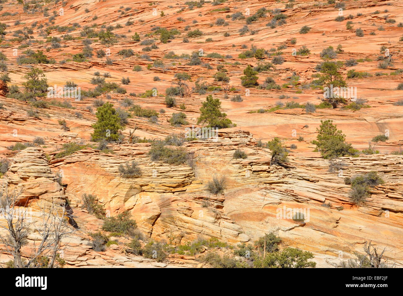 Striations on the rock face of a cliff in Zion National Park, Utah ...
