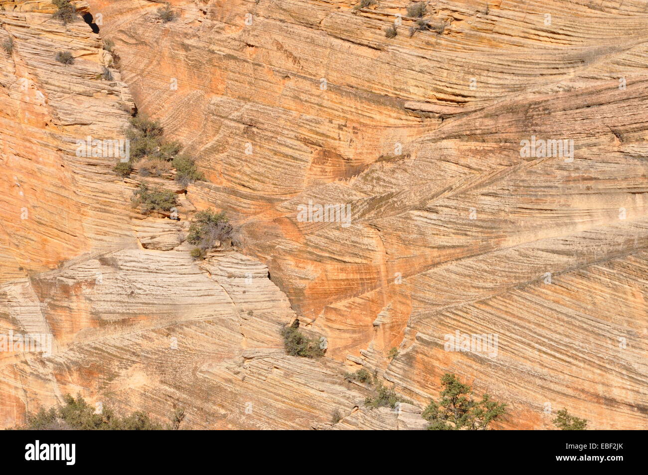 Striations on the rock face of a cliff in Zion National Park, Utah ...