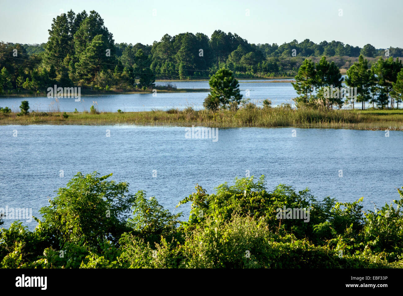 Orlando Florida,nature,natural,scenery,water,lake,sinkhole,trees ...
