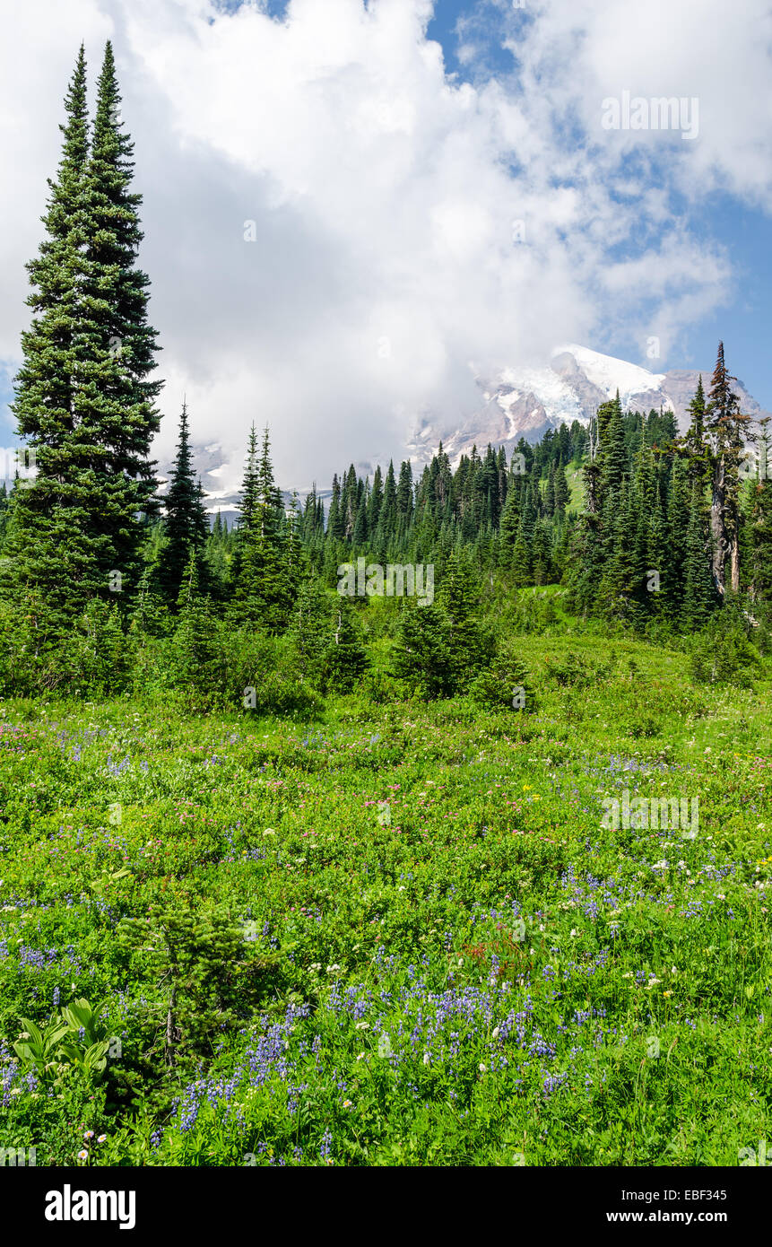 Seattle washington snow hi-res stock photography and images - Alamy