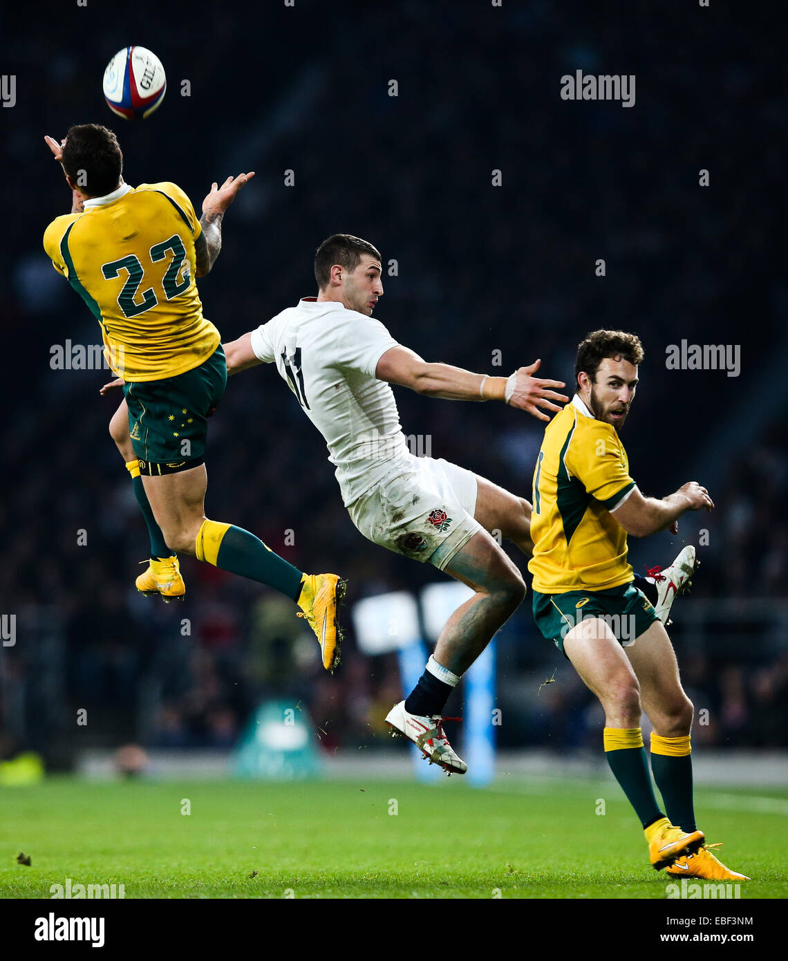 Quade cooper hi-res stock photography and images - Alamy