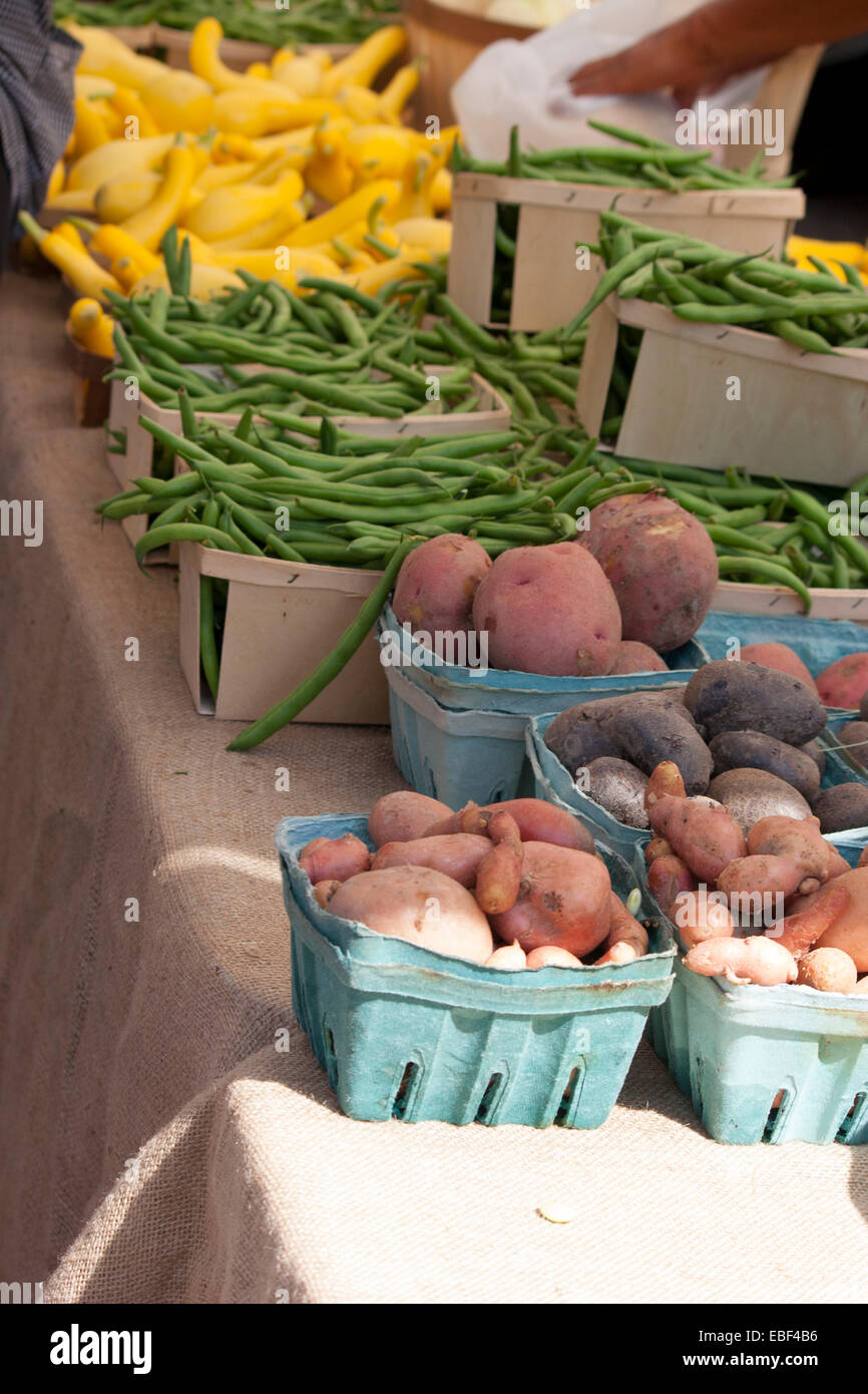 Farmers crook hi-res stock photography and images - Alamy