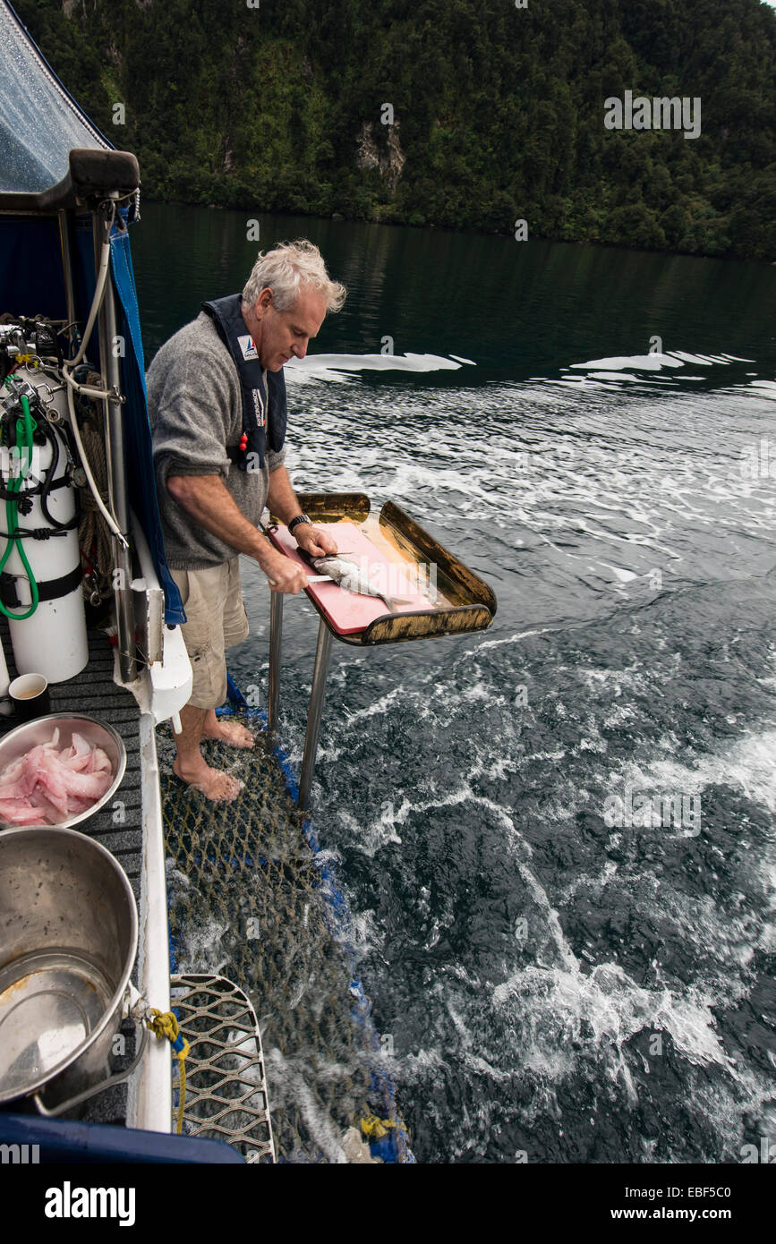 Cleaning fish hi-res stock photography and images - Alamy