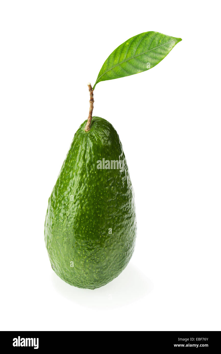 Ripe Green Avocado with Leaves Isolated on White Background. Closeup ...