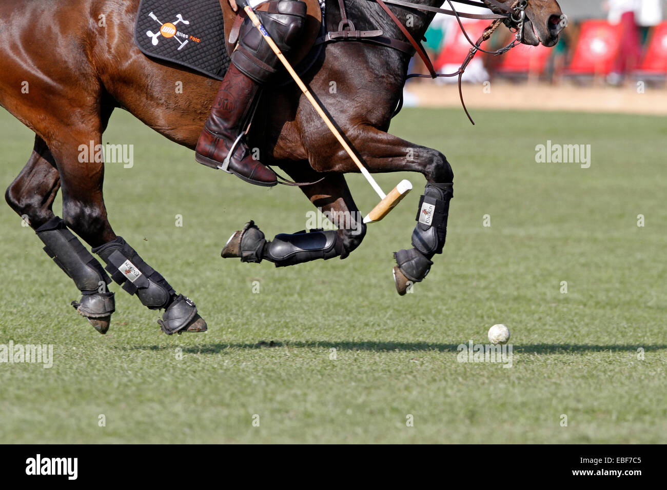 Polo players fight on the ball, Bucherer High Goal Polo Cup, Gut Aspern ...