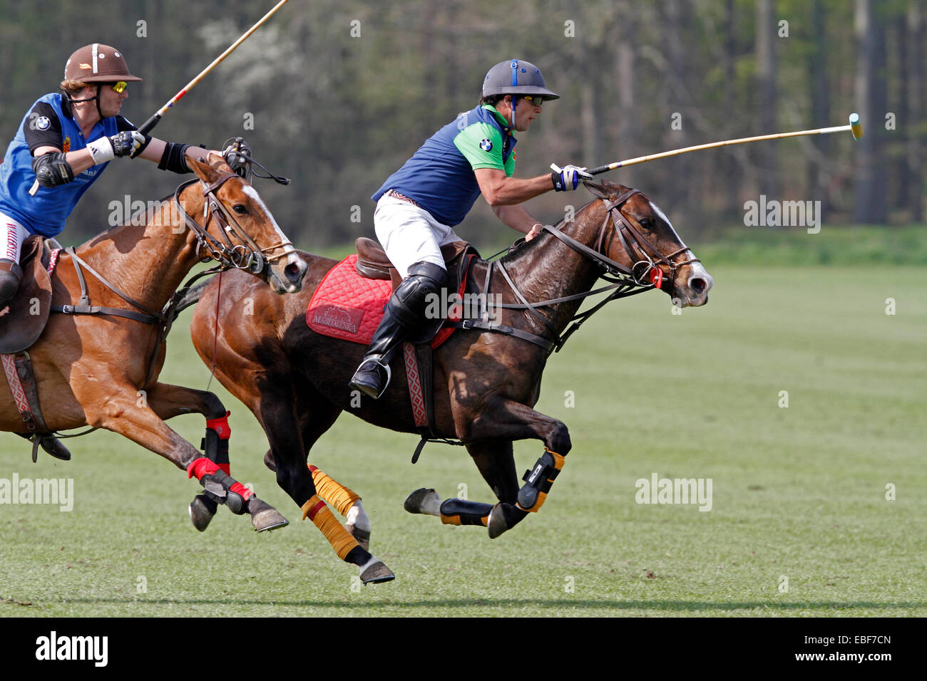 Polo players fight on the ball, Bucherer High Goal Polo Cup, Gut Aspern ...